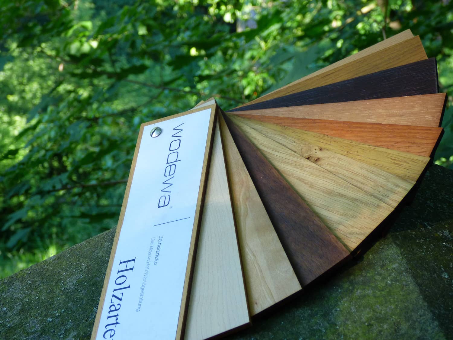 Übersicht Holzarten: Eigenschaften & Verwendung | wodewaBlog